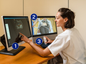 MELODY - Remote ultrasound robot | AdEchoTech